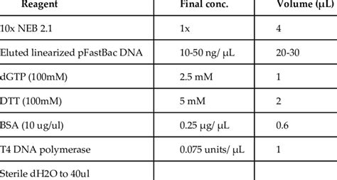 Mix To Create Pfastbac Vector Overhangs 188 Download Scientific Diagram