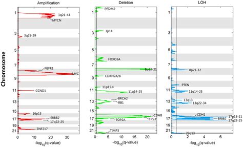 Genome Wide Analysis Of Statistically Significant Somatic Aberrations Download Scientific