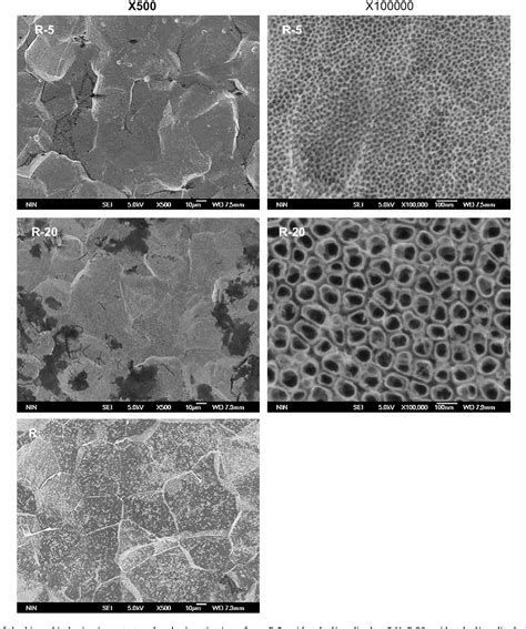 Figure 1 From The Influence Of Hierarchical Hybrid Micro Nano Textured
