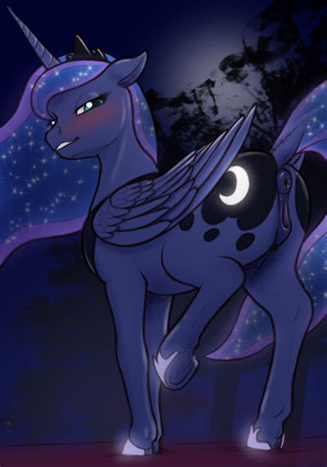 Rule 34 Alicorn Animal Genitalia Animal Pussy Anus Ass Blush