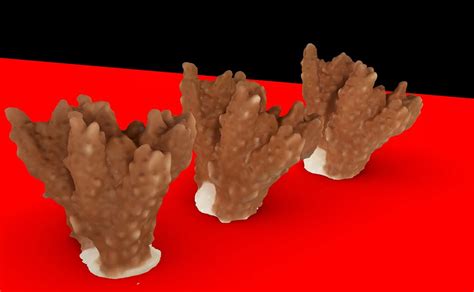 Automatically Alignorient 3d Object Rhino Mcneel Forum