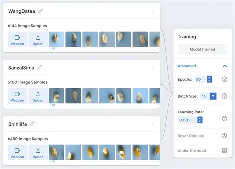 Efficient And Rapid Classification Of Various Maize Seeds Using
