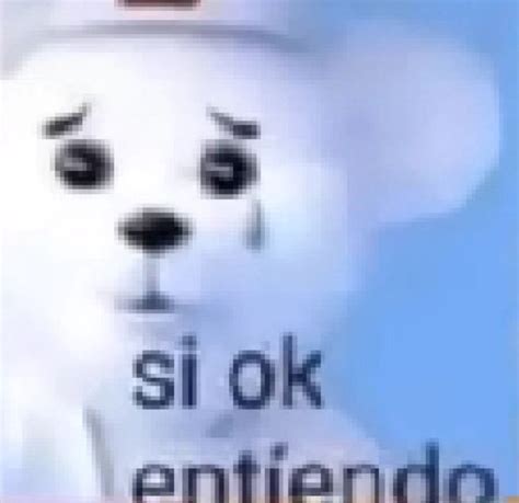 Si Ok Entiendo Si Ok Entiendo Osito Cuando Si Eres Si Soy Sticker