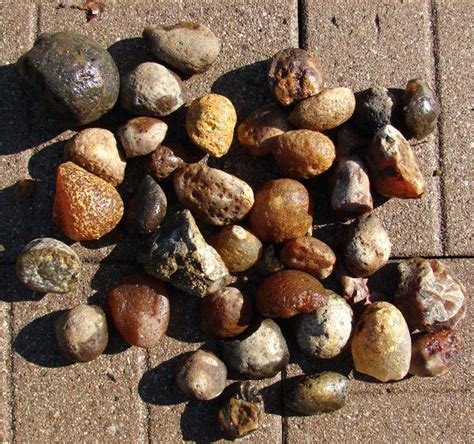 Small Agates Cutting Rock From Brazil With Extra Slabs Etsy