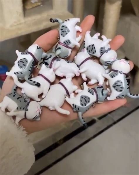 Lots Of Kitties Via Tumbex
