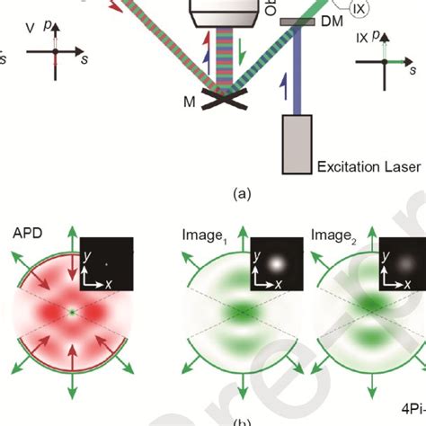 Pdf Review Of 4pi Fluorescence Nanoscopy