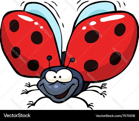Cartoon Flying Ladybug Royalty Free Vector Image