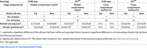 Golgi Outpost Localization Parameters In Ik2 Dn Bristles Golgi Outpost