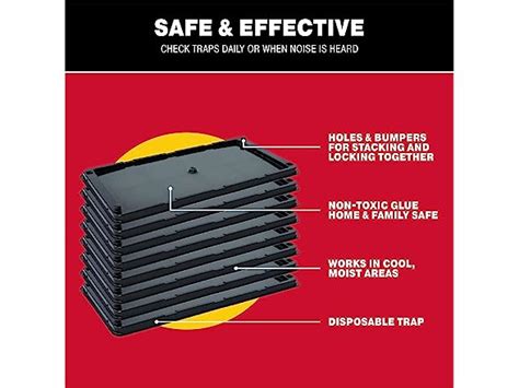 Baited Glue Traps By Catchmaster 8 Pre Baited Trays