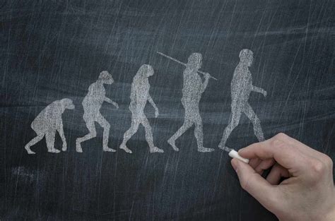 A Brief Explanation Of Evolution