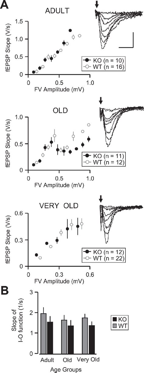 Figure 1 From Age Related Influence Of The Hdl Receptor Sr Bi On Synaptic Plasticity And