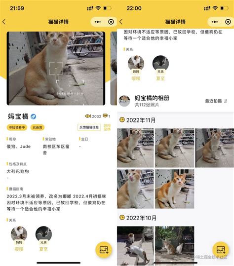 推荐 4 个开源微信小程序github答题小程序开源 Csdn博客