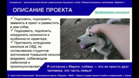 Барбос 1 - YouTube