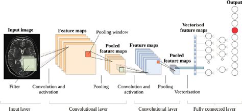 Basic Building Blocks Of A Typical Cnn Model For Interpreting Medical Download Scientific