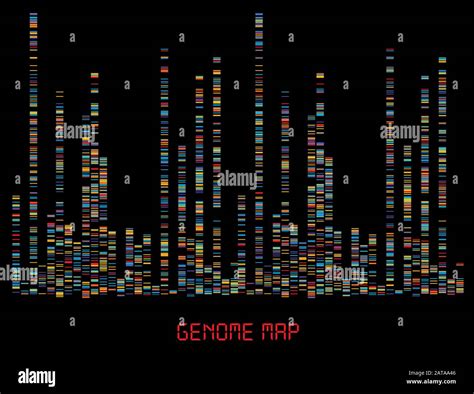 Big Genomic Data Visualization Dna Test Barcoding Genome Map Architecture Vector Graphic
