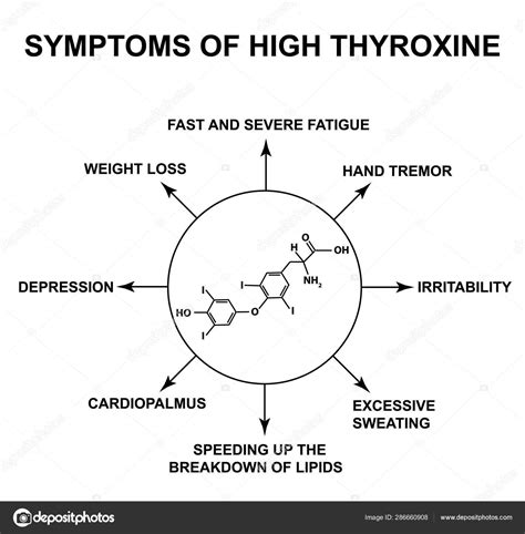 Symptoms Of High Thyroxine Thyroxine Thyroid Hormone Infographics Vector Illustration On
