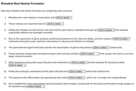 solved rhizobial root nodule formation describe rhizobial