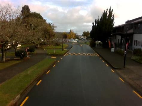 Tree Dataset 2023 Object Detection Dataset V8 2023 02 01 8 37pm By