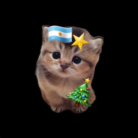 Cat Dreamcored Youtube