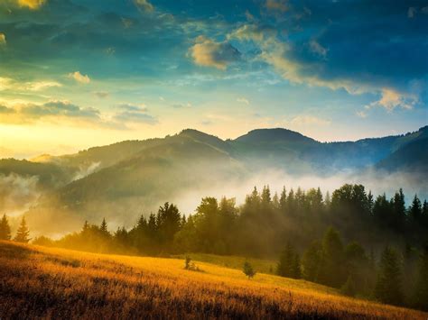 Eddie Carrasco Jr Las Vegas Nv