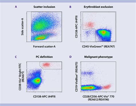Immunophenotyping Plasma Cells Human Multiple Myeloma Bone Marrow Protocol Miltenyi