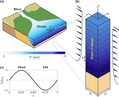 Full Article Numerical Investigation Of Nonlinear Interaction Between