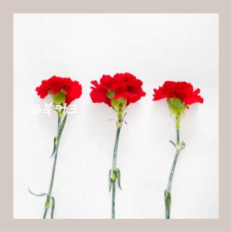 오늘 스승의 날 선생님께 문구 최고의 감사 인사말은 네이버 블로그