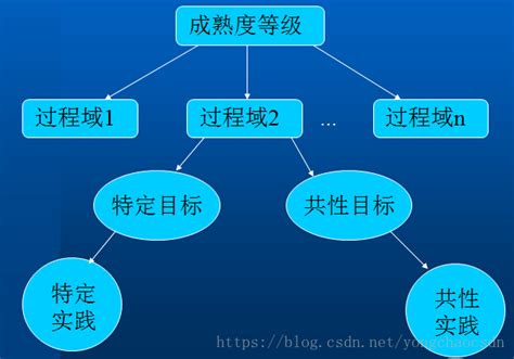 软件能力成熟度模型（cmmi） cmmi模型 csdn博客