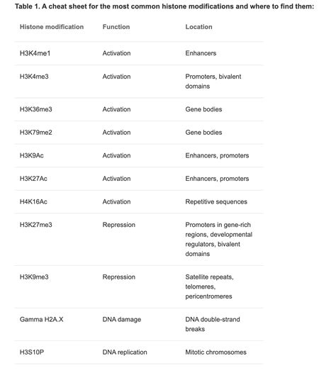Histone Modifications And Chromatin States Dewan Shrestha