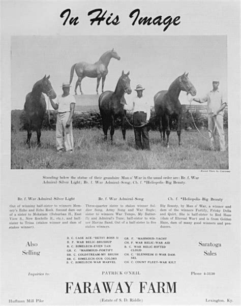 Stallionstud Print Ads For Faraway Farms In Lexington Ky