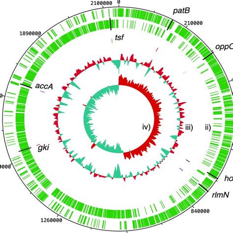 global sequence cluster analysis of s mitis genomes using poppunk a
