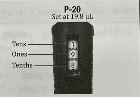 Bsci Lab Practical Flashcards Quizlet