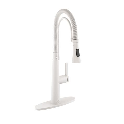 Boyel Living Single Handle Spring Kitchen Faucet With Dual Function