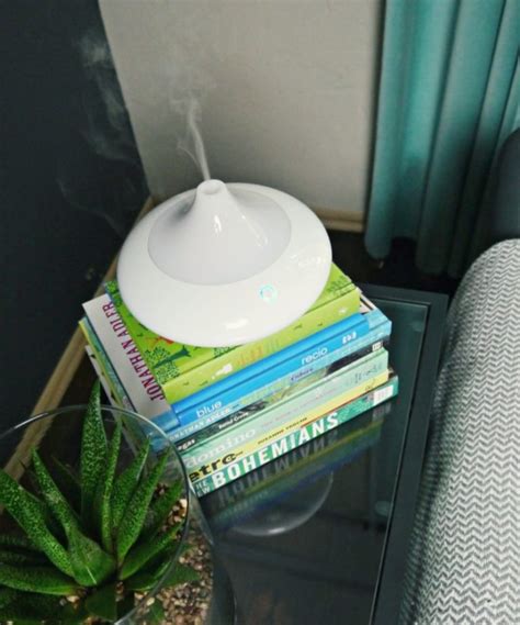 Benefits Of Diffusing Essential Oils You Might Not Have Guessed Jenni Raincloud