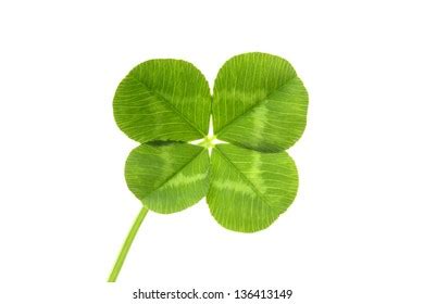 Friends Four Leaf Clover Over Royalty Free Licensable Stock Photos Shutterstock