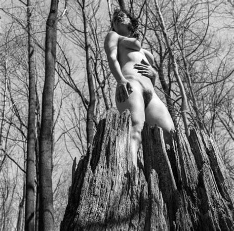 ウッドランド アダルト画像、セックス画像 3905535 Pictoa