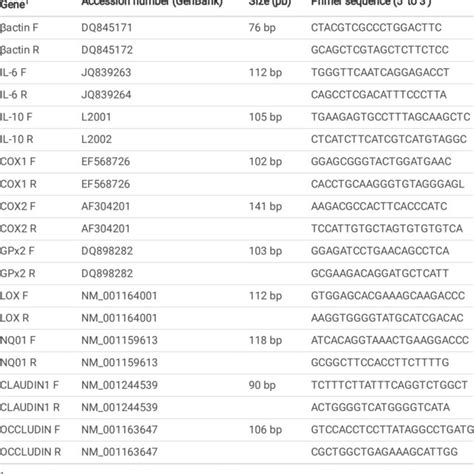 Primer Sequences And Relative Amplicon Dimensions Download Scientific Diagram