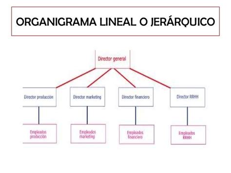 Ejemplo De Estructura Lineal O Jerarquica Organigrama Estructura De