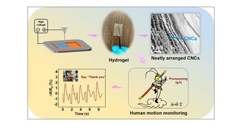 Ultrastretchable And Highly Sensitive Hydrogel Strain Sensors By