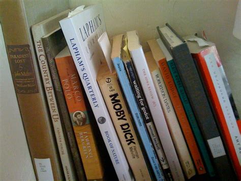 Alexis Orgera Htmlgiant