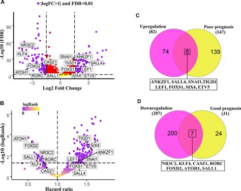 Increased And Decreased TF Expression Is Associated With The Prognosis Download Scientific