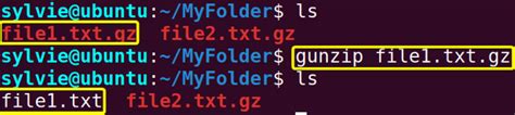 The Gunzip Command In Linux 9 Practical Examples