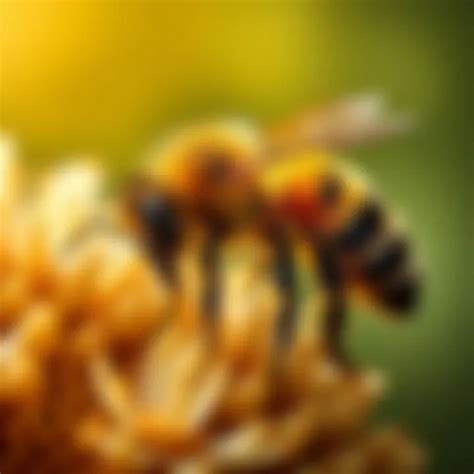 The Vital Role Of Bees In Crop Pollination