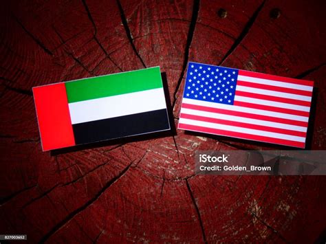 고립 된 나무 등 걸에 미국 국기와 함께 아랍 에미리트 플래그 미국 국기에 대한 스톡 사진 및 기타 이미지 미국 국기 아랍에미리트 연합 0명 Istock