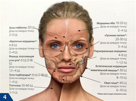 Ксеомин – отзывы косметологов о ботулинотерапии препаратом Xeomin®