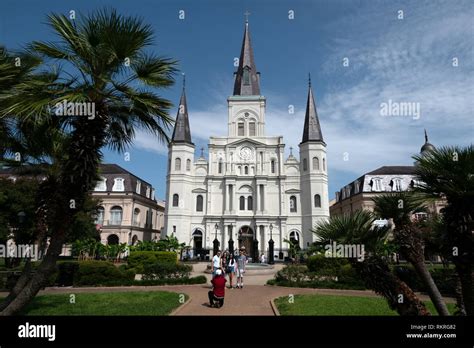 Basilica New Orleans At Freda Williams Blog