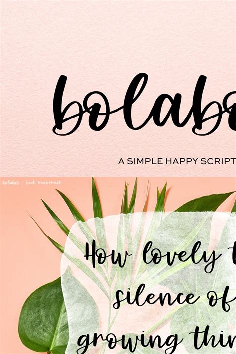 Bolabos Script Font MasterBundles