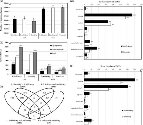 Genome Wide Identification And Characterization Of The Differentially Download Scientific