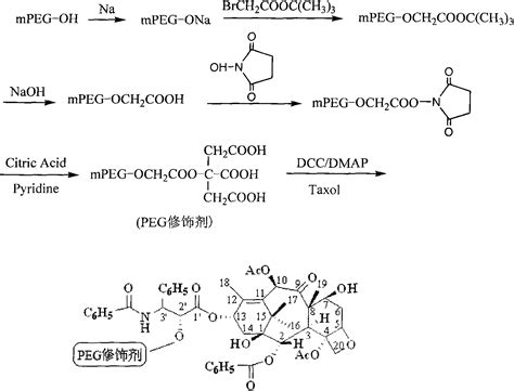 Water Soluble Taxol Prodrug Preparation Method And Chemical Modifier