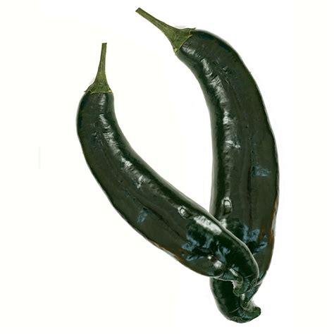 Chile Chilaca Pasilla Tienda Online Chile Fresco Fundació